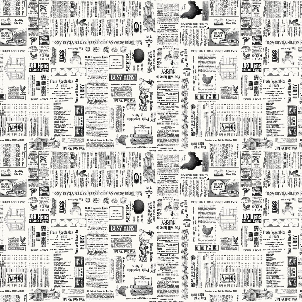 Zooming Chickens Newsprint Off White – Sew Hot